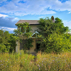 Code Enforcement – Lyons, Ga