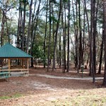 Nature Trail – Lyons, Ga