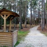 Nature Trail – Lyons, Ga
