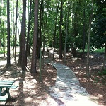 Nature Trail – Lyons, Ga
