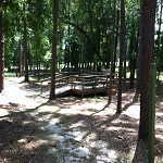 Nature Trail – Lyons, Ga