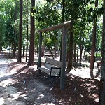 Nature Trail – Lyons, Ga