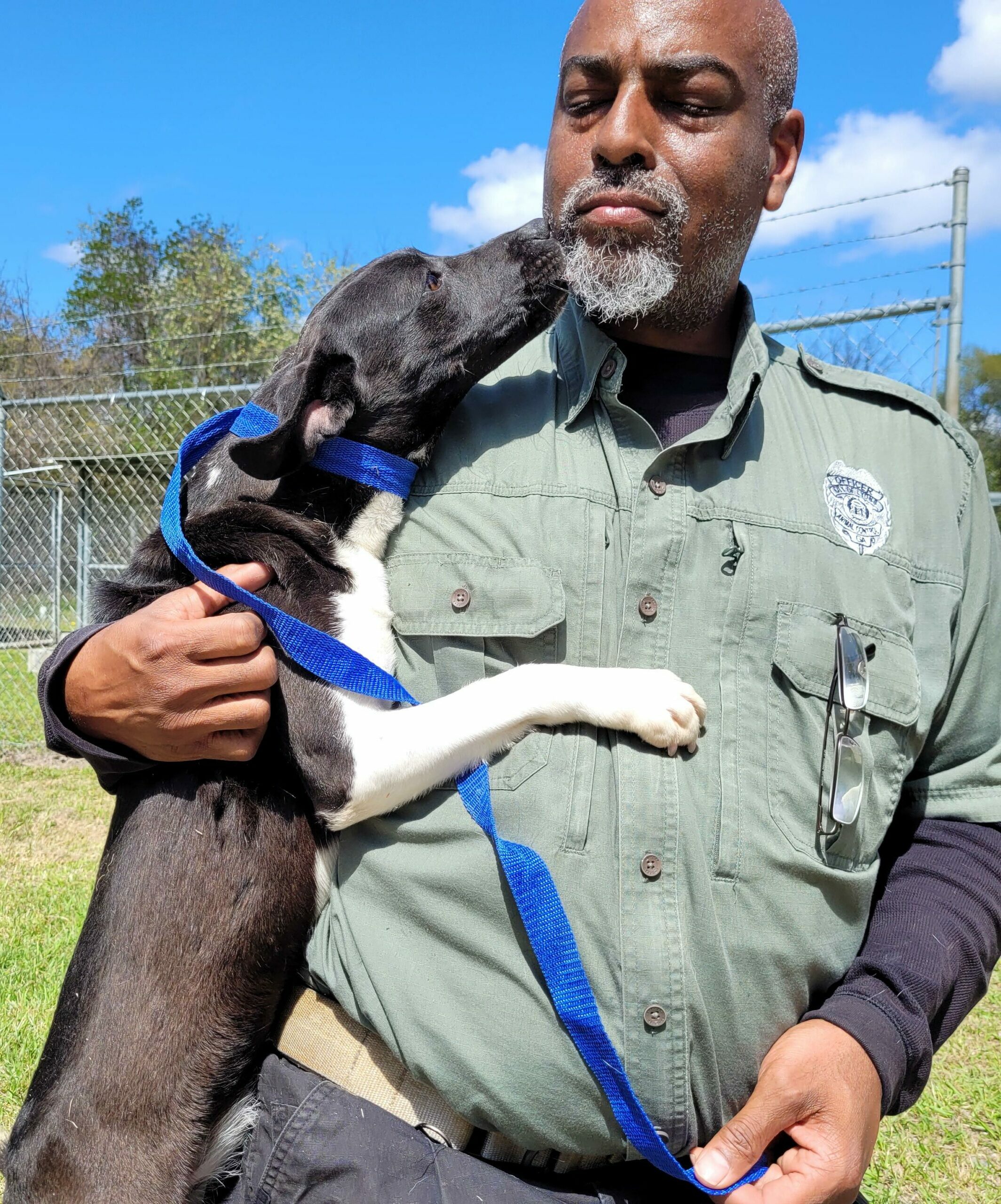 Animal Shelter – Lyons, Ga